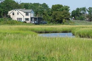 Saltmarshes – Rhode Island Environmental Monitoring Collaborative