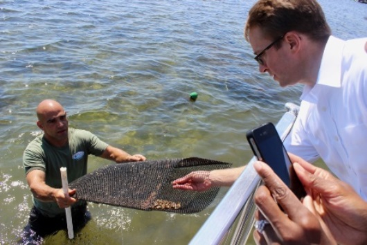 Shellfish Growing Areas – Rhode Island Environmental Monitoring ...